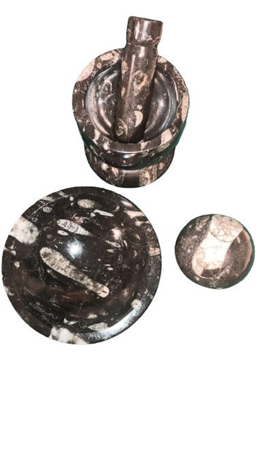 Orthoceras Fossil Bundle: Bowl, Sphere, Mortar and Pestle Set Ancient ...