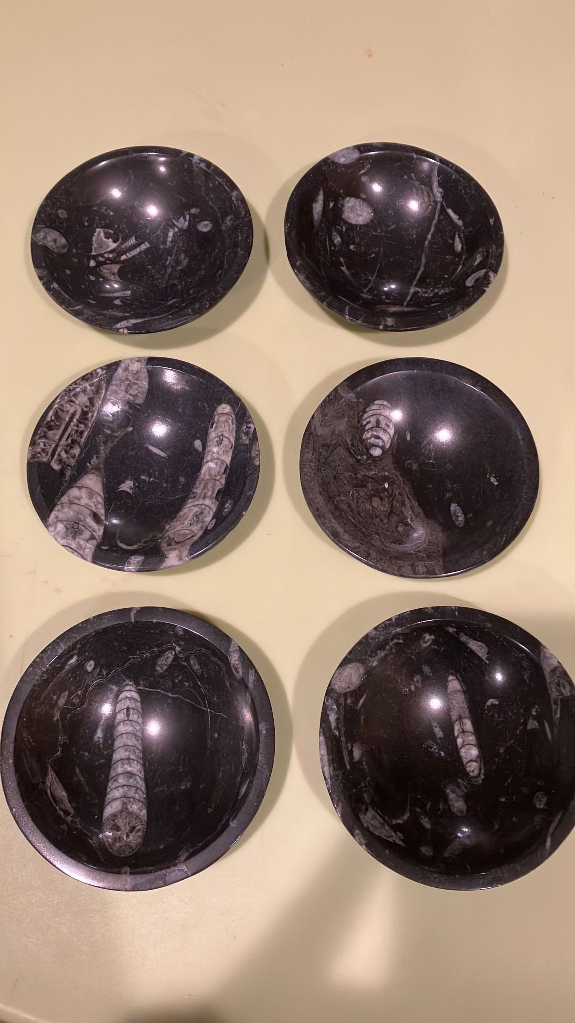 LARGE Black Orthoceras Ammonite Fossil Round Bowl 350 Million Years Old ...