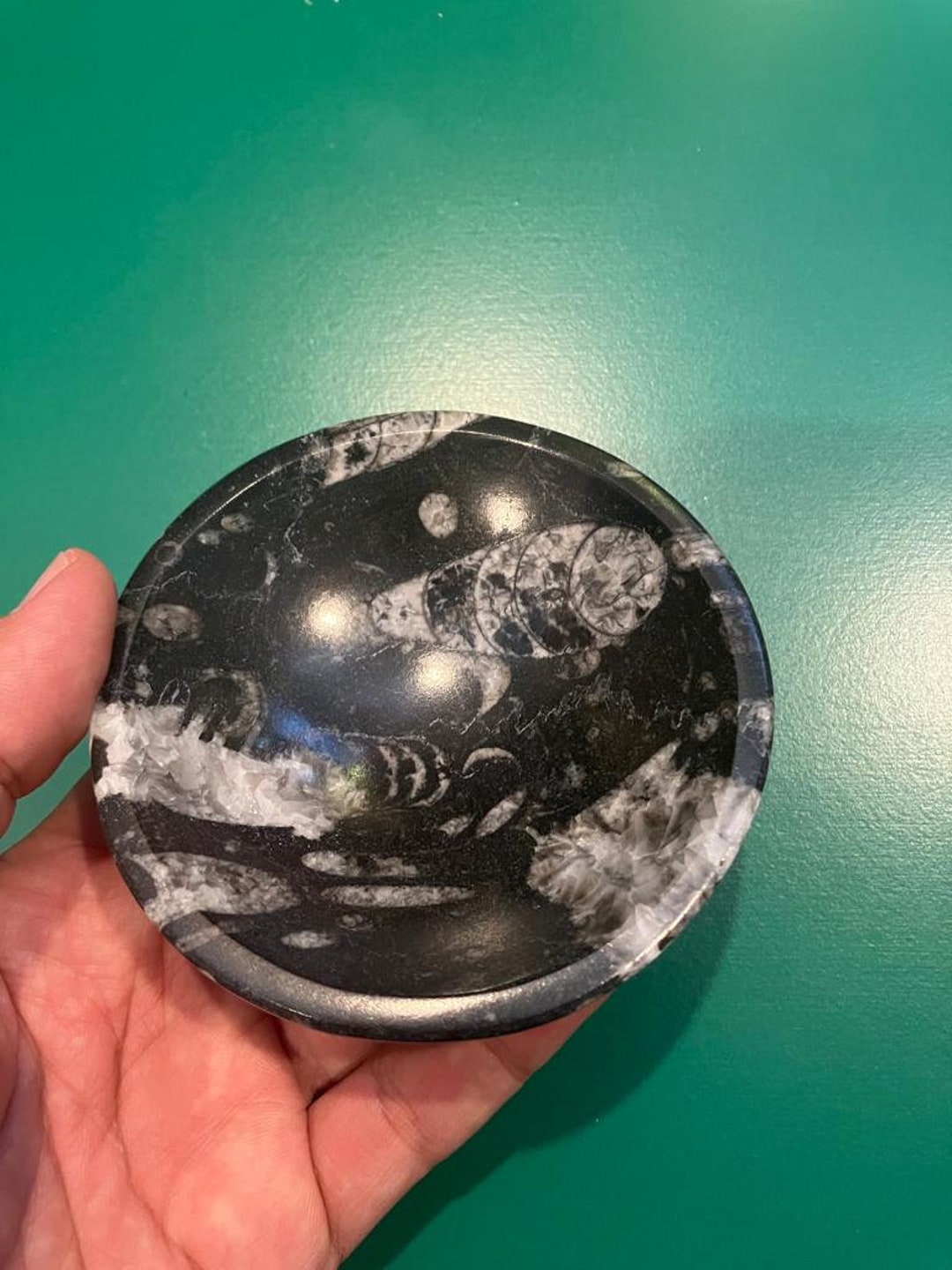 Unique 4 Inch Fossil Orthoceras Bowl | Ancient Marine Life Decor ...