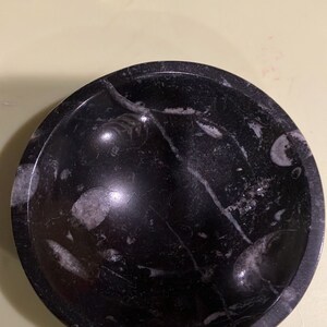 Bulk Sale! 6 Pcs Round Fossils Orthoceras Ammonite Bowls | 4 Inch ...