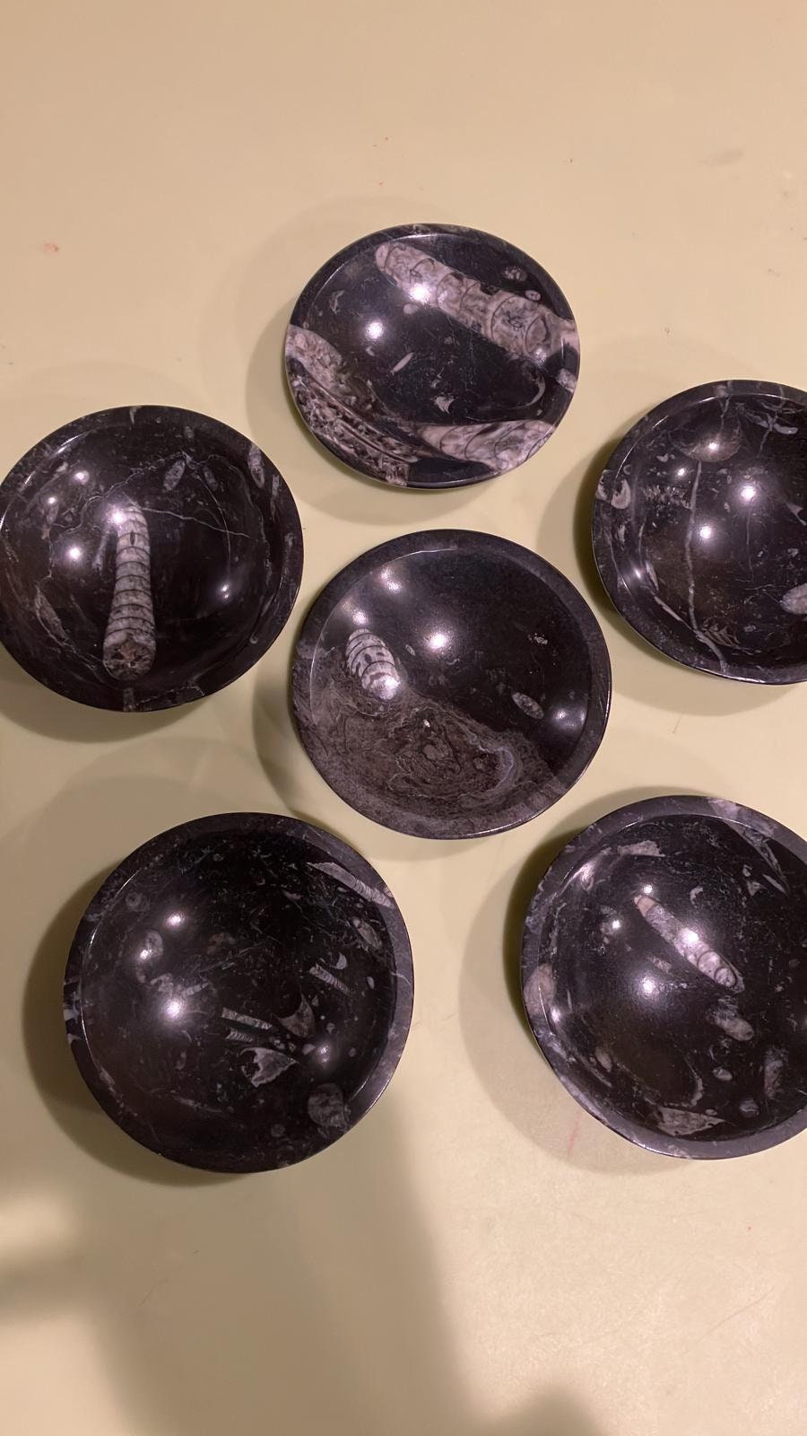 LARGE Black Orthoceras Ammonite Fossil Round Bowl 350 Million Years Old ...
