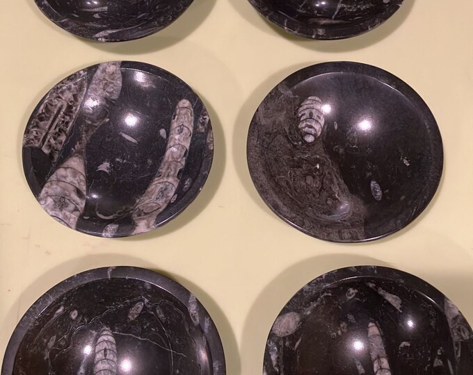 Bulk Sale 6 Pcs Round Fossils Orthoceras Ammonite Bowls 4 Inch ...