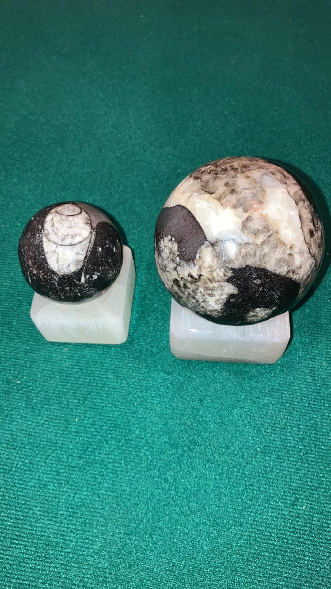 Large ORTHOCERAS FOSSIL SPHERE W/ Stand or Without You Choose ...