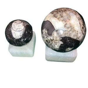 Large ORTHOCERAS FOSSIL SPHERE W/ Stand or Without You Choose ...