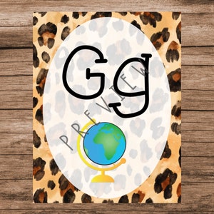 Leopard Print Classroom Alphabet Cards Uppercase and Lowercase Letter ...
