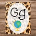 Leopard Print Classroom Alphabet Cards Uppercase and Lowercase Letter ...
