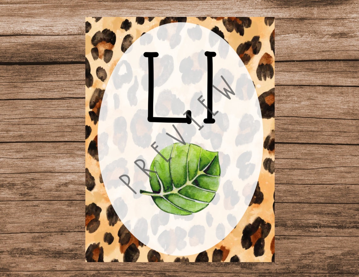 Leopard Print Classroom Alphabet Cards Uppercase and - Etsy