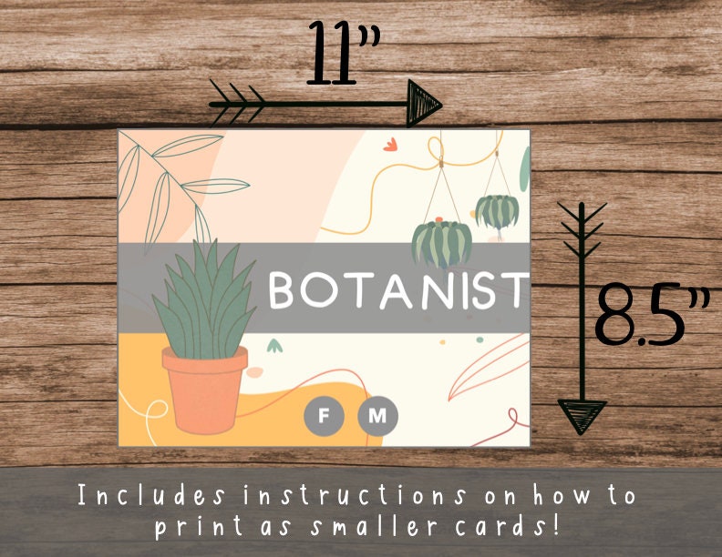 Modern Boho Editable Classroom Job Chart Printable | Customizable ...