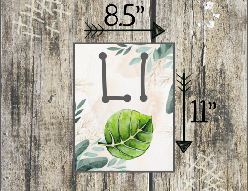 Classroom Alphabet Cards Botanical Greenery | Uppercase and Lowercase ...