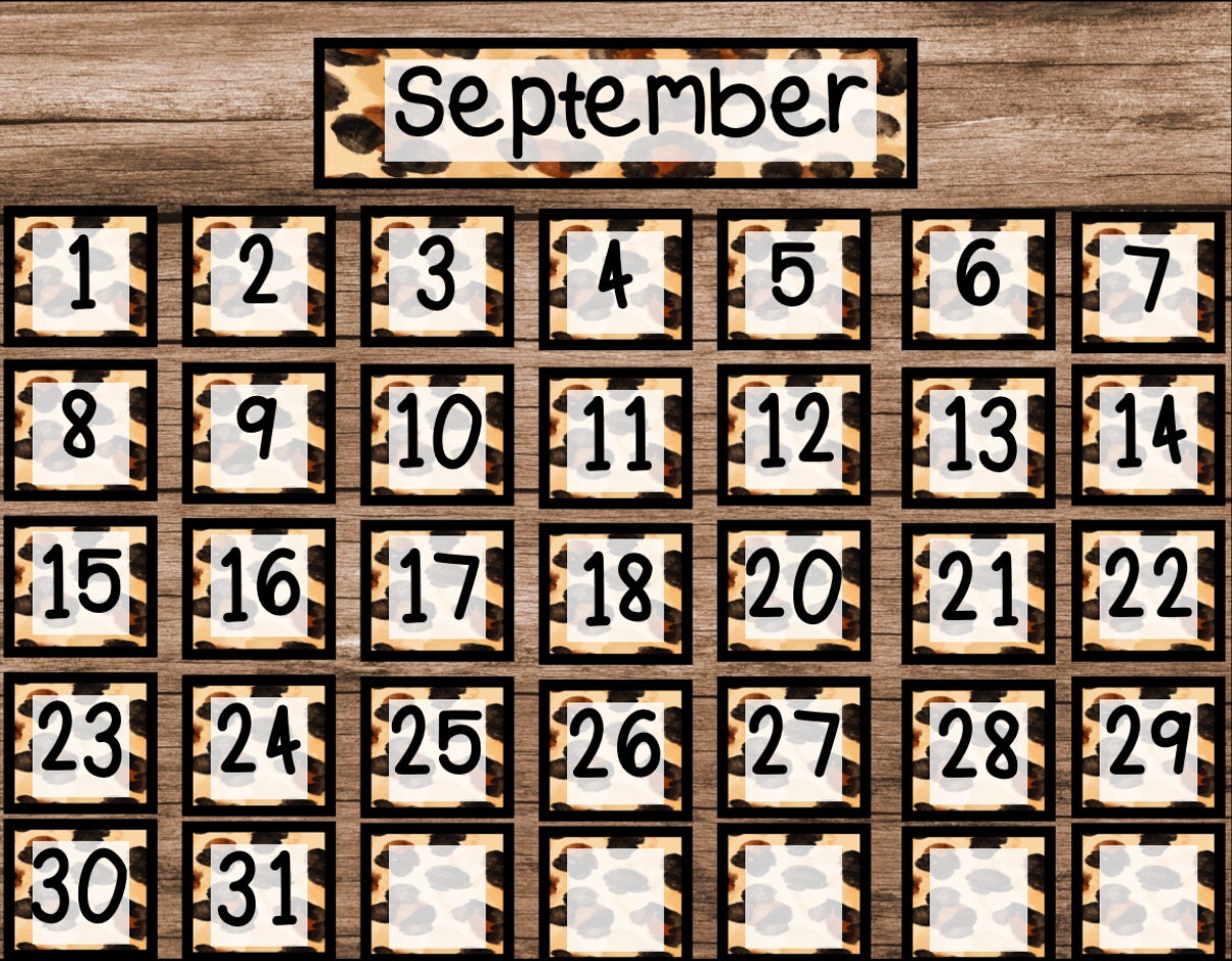 Leopard Print Classroom Calendar and Weather Display Chart Printable ...
