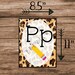 Leopard Print Classroom Alphabet Cards Uppercase and Lowercase Letter ...