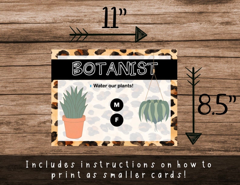 Leopard Print Editable Classroom Jobs Chart Printable | Classroom ...