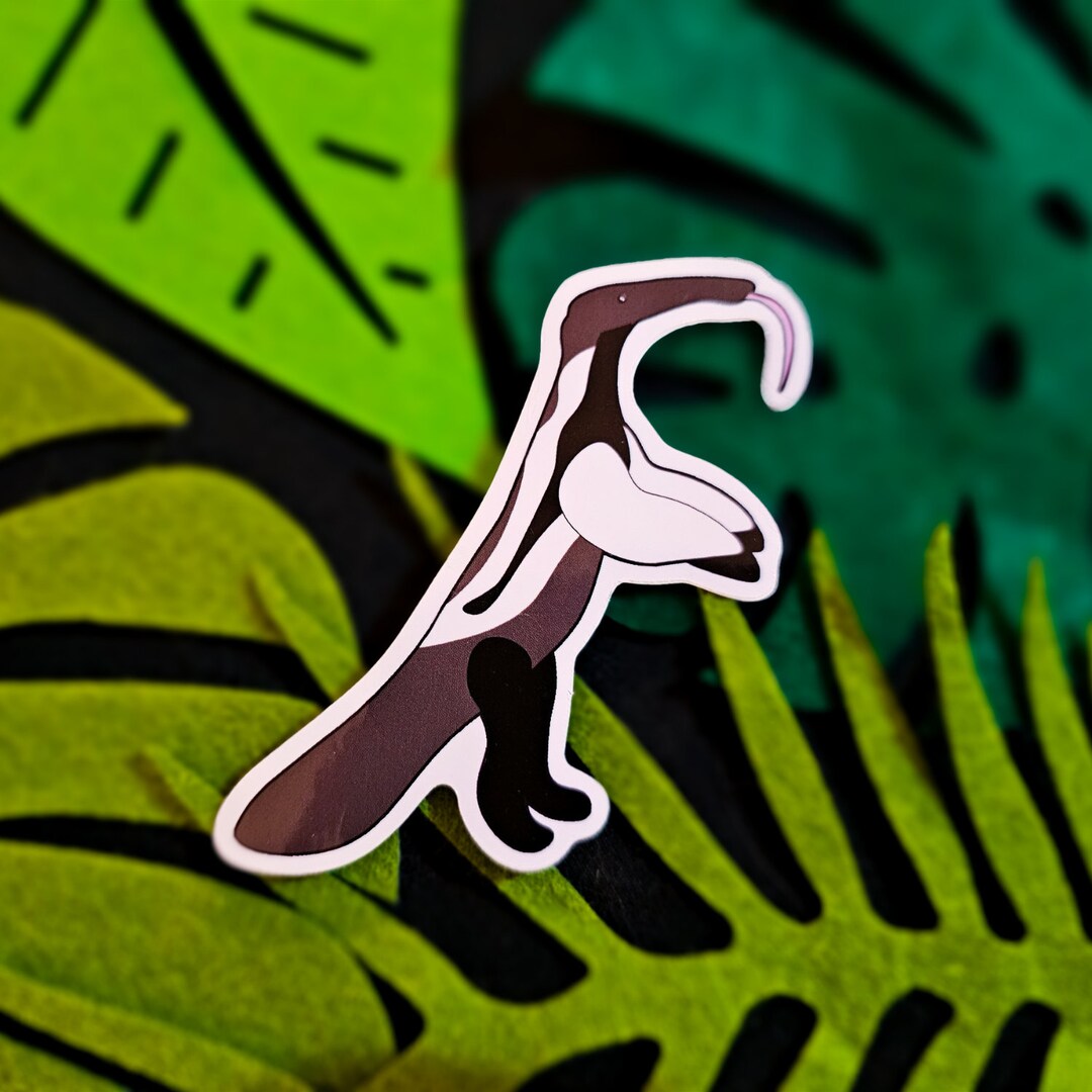 Giant Anteater Sticker - Etsy