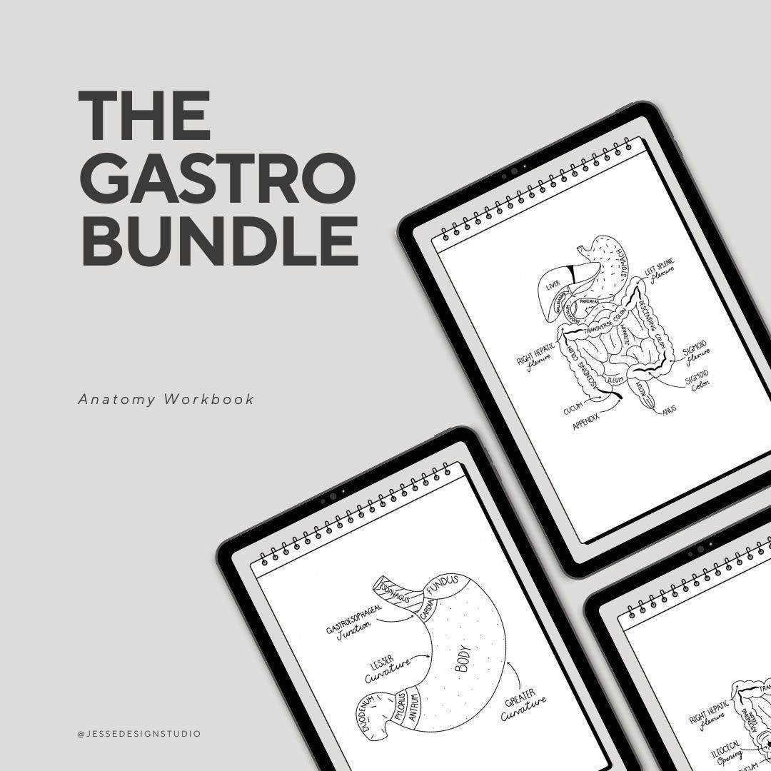Digestive System Colouring Workbook: Medical Anatomy Study (digital ...