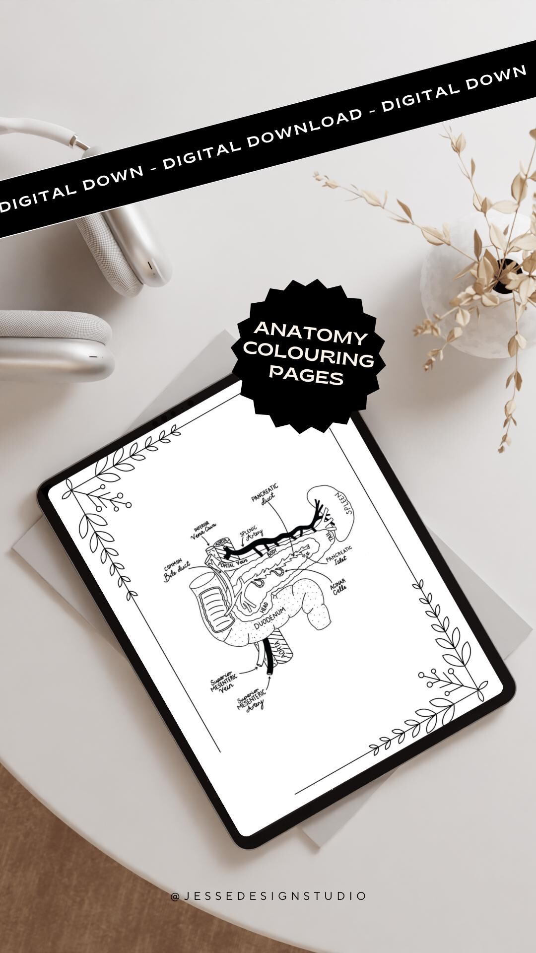 Anatomy Colouring Sheet for Studying Printable Illustration for Adults ...