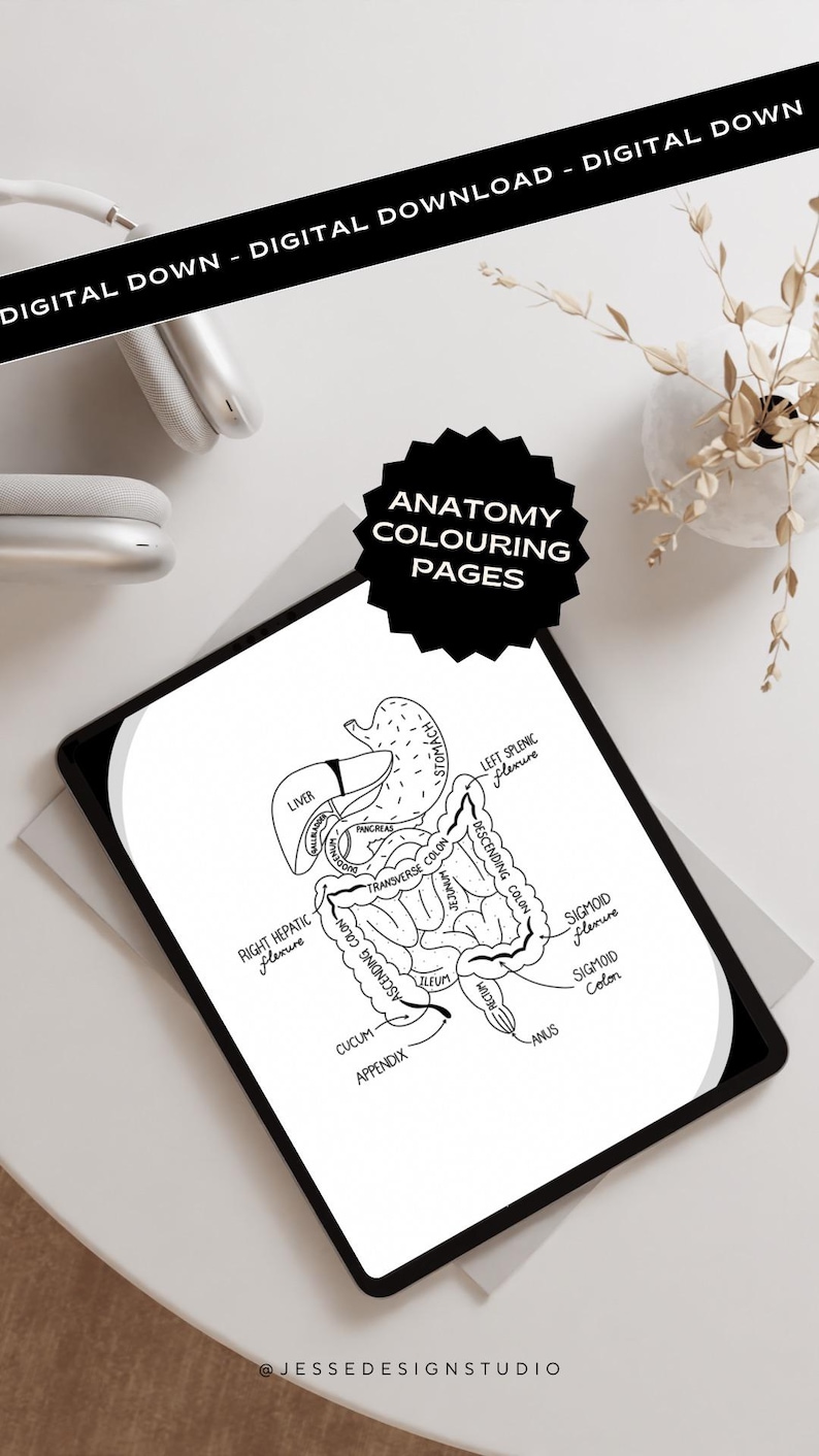 Digital Anatomy Educational Colouring Page Study Sheet for Student ...