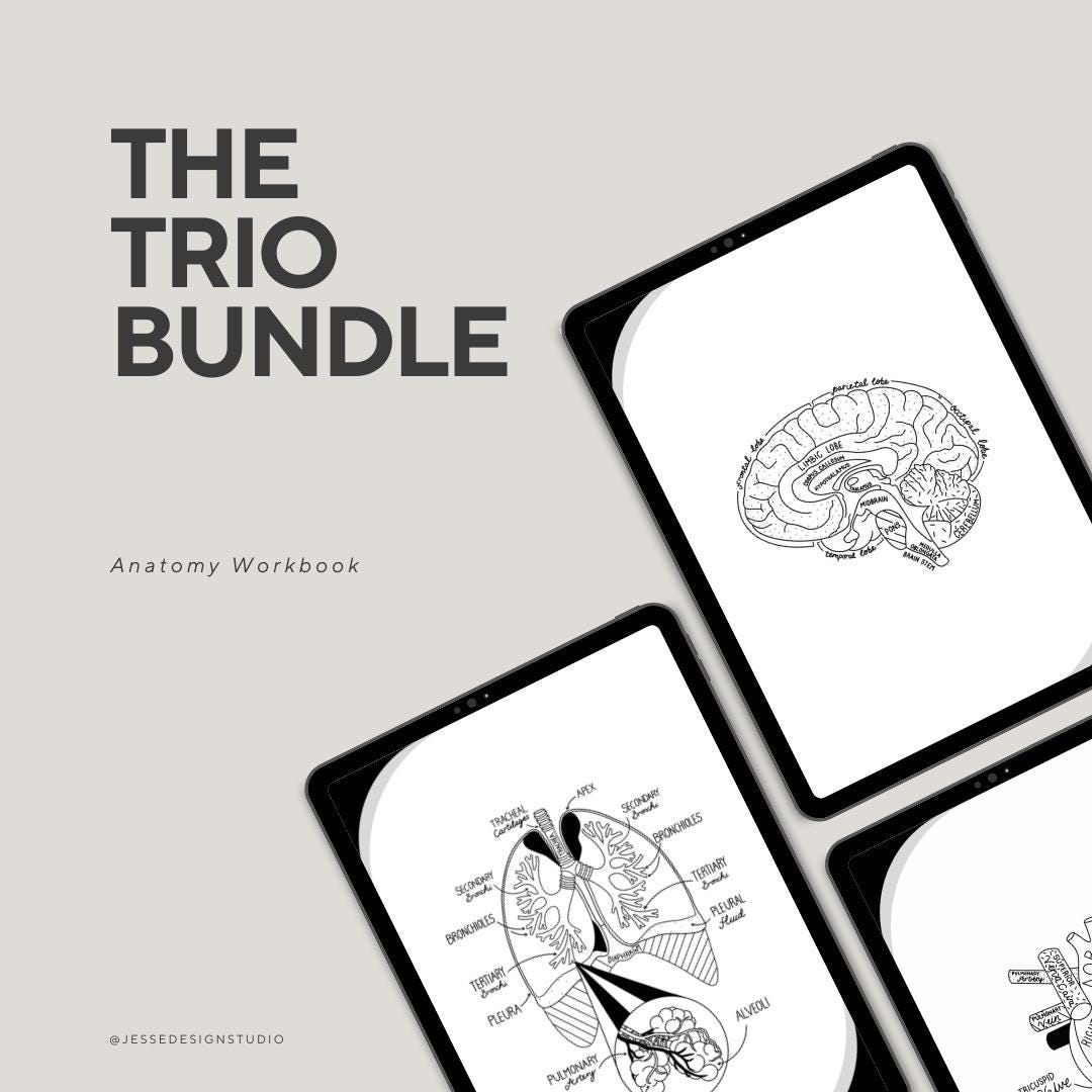 Anatomy Colouring Workbook Bundle the Brain Heart Lungs Study Pages ...