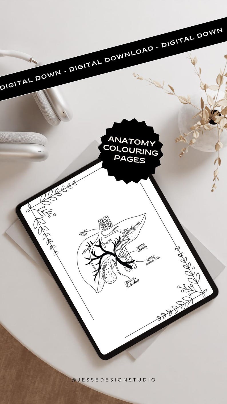Anatomy Colouring Pages Human Body Coloring Sheet JPG Body Systems ...