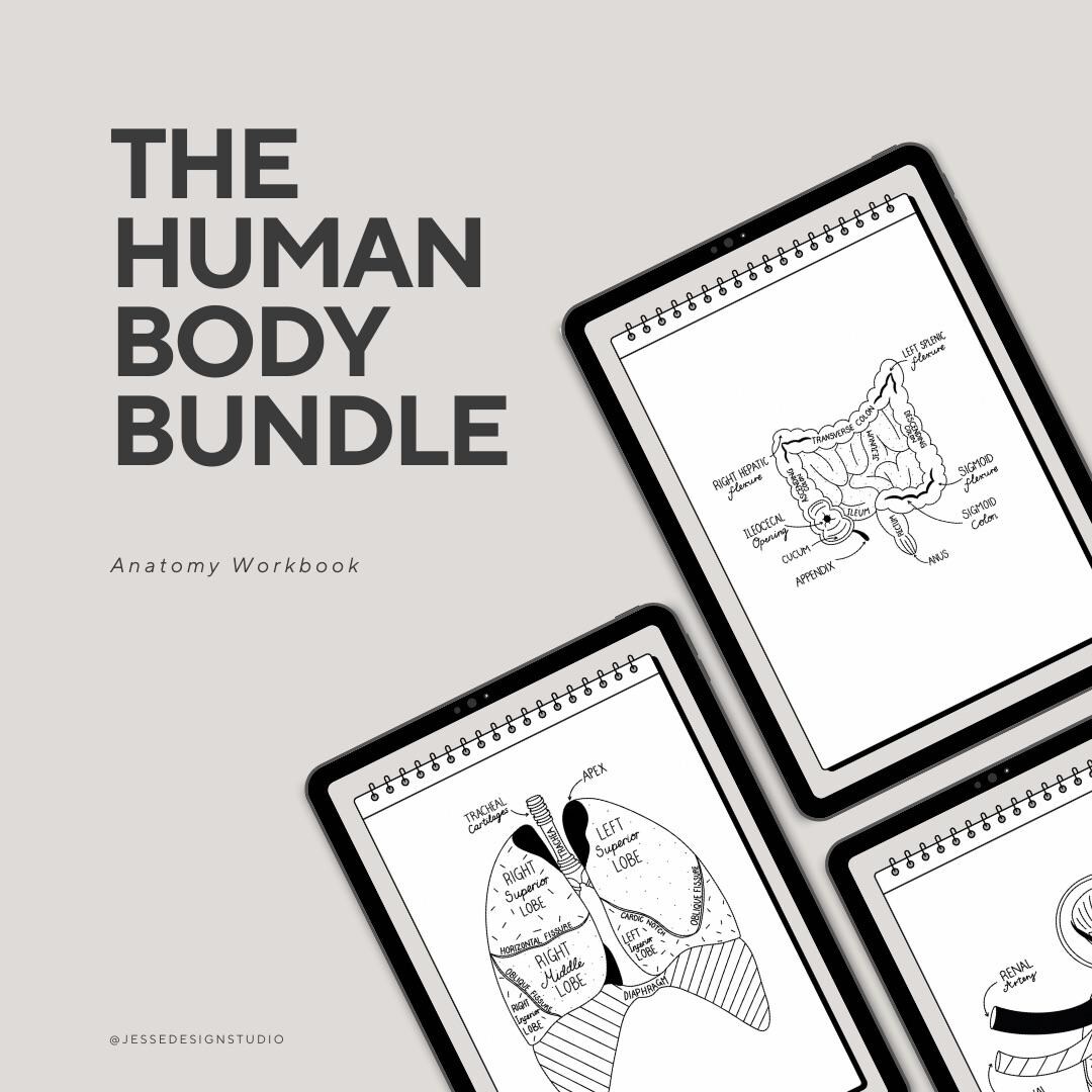Nurse Resource Human Anatomy Colouring Page Bundle Educational Study ...