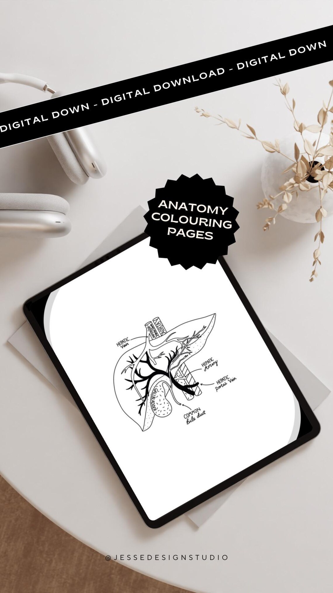 Human Liver Anatomy Colouring Page: Medical Student Worksheet (digital ...