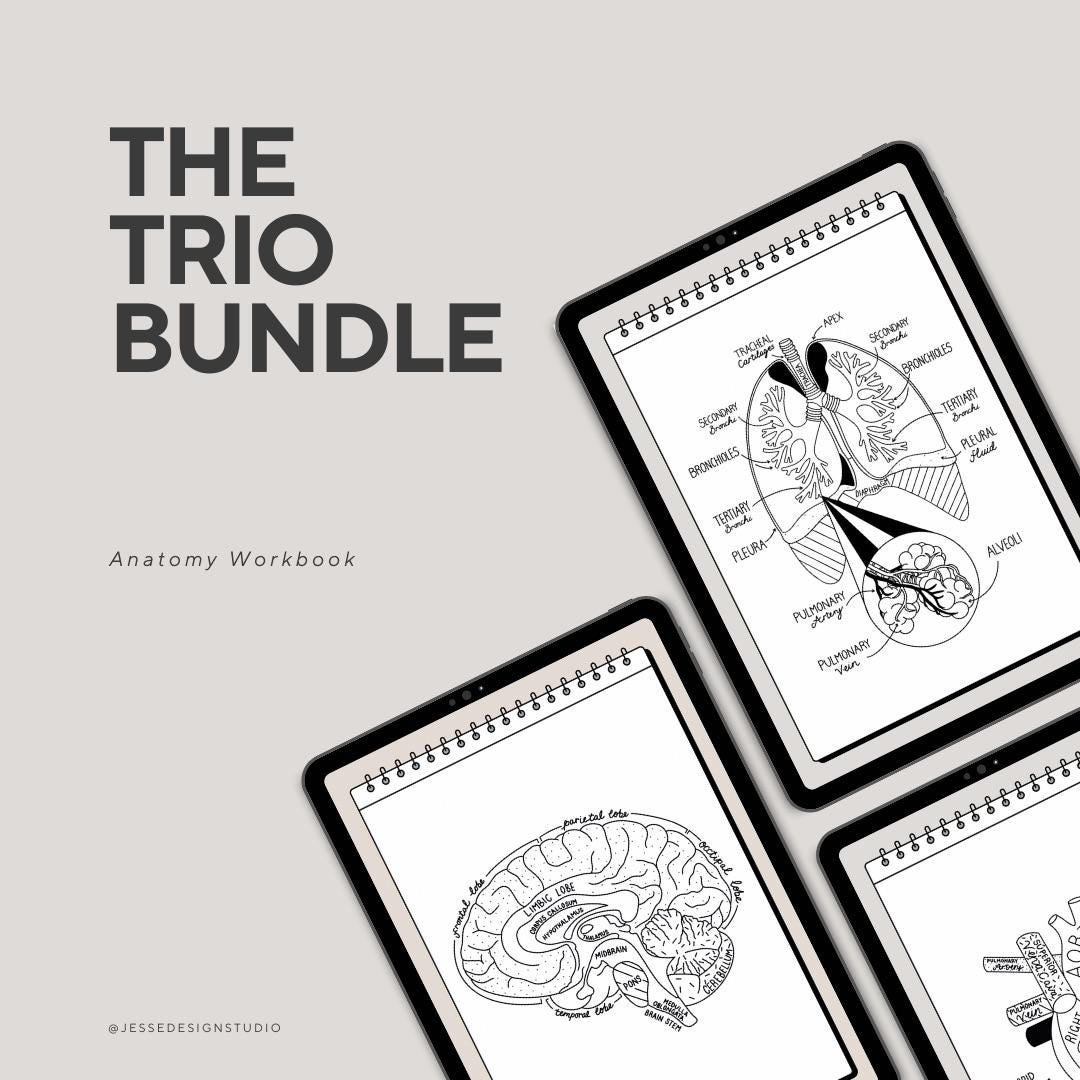 Anatomy Colouring Workbook Bundle the Brain Heart Lungs Study Pages ...