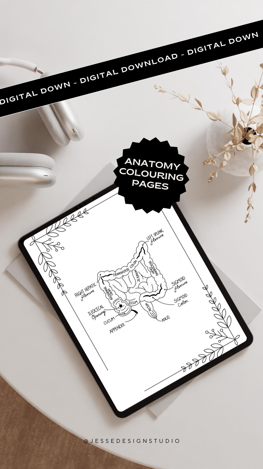 Anatomy Art Colouring Page for Students and Medical Professionals ...