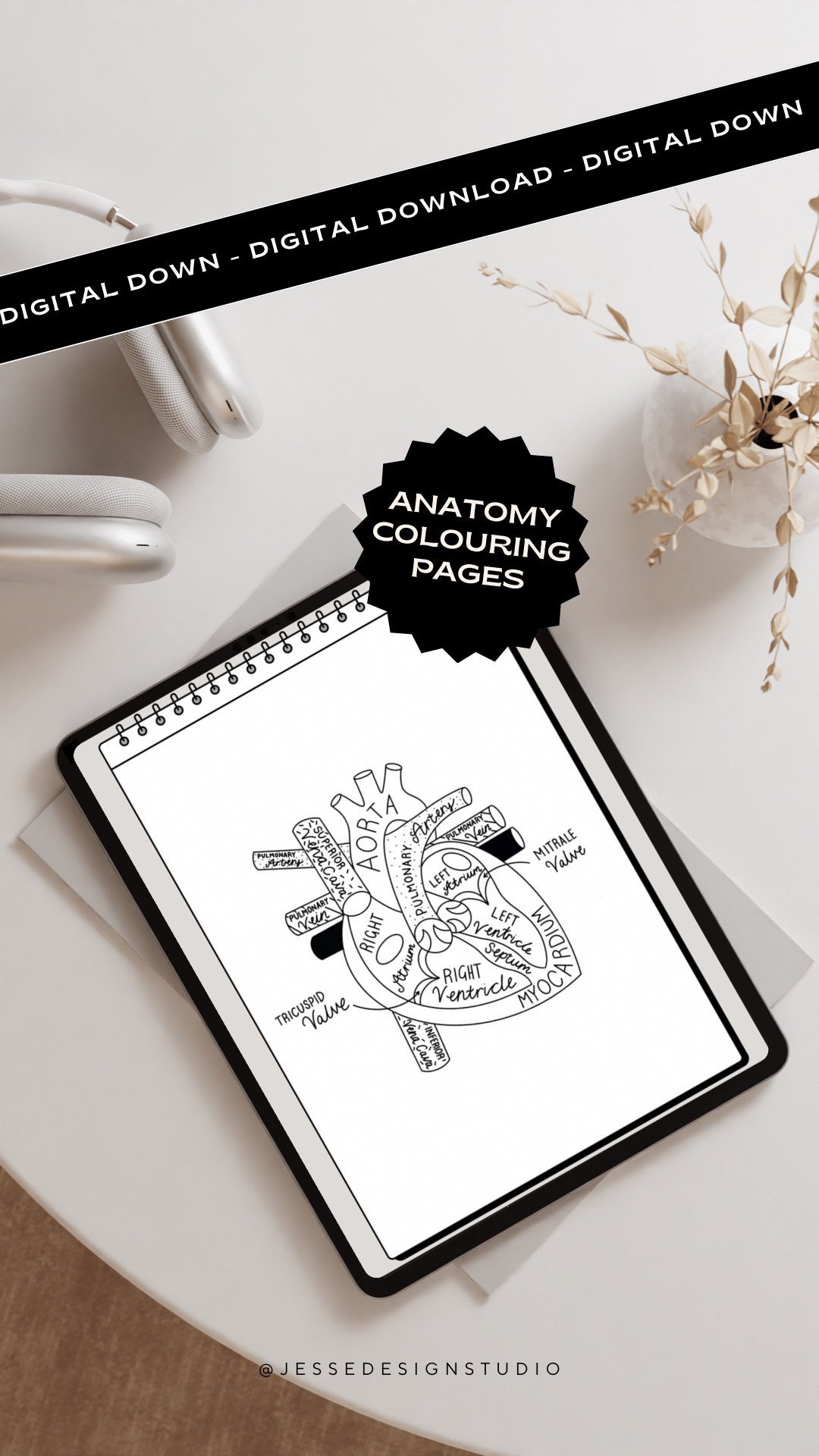 Human Heart Anatomy Coloring Page, Medical Study Guide (digital ...