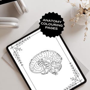 Human Anatomy Colouring Page the Brain Printable Nurse Resource Human ...