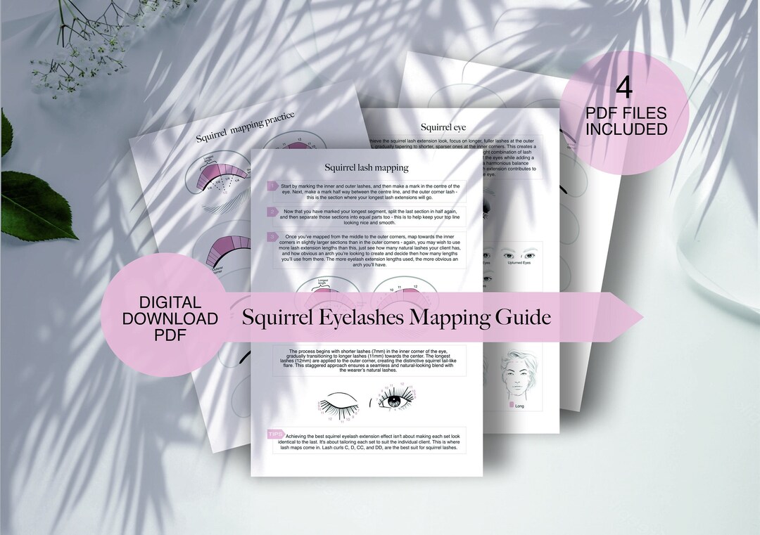 4 PDF Sheets of Squirrel Lash Mapping Guide - Etsy