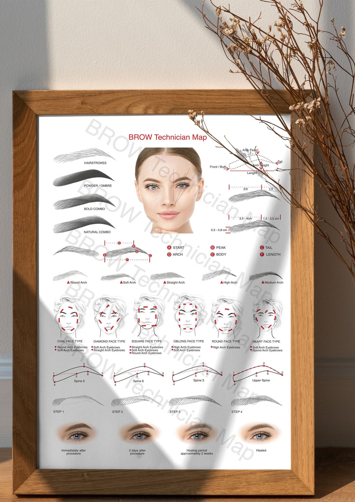 Digital Eyebrows Technician Guide Sheet / for Microblading / Henna ...