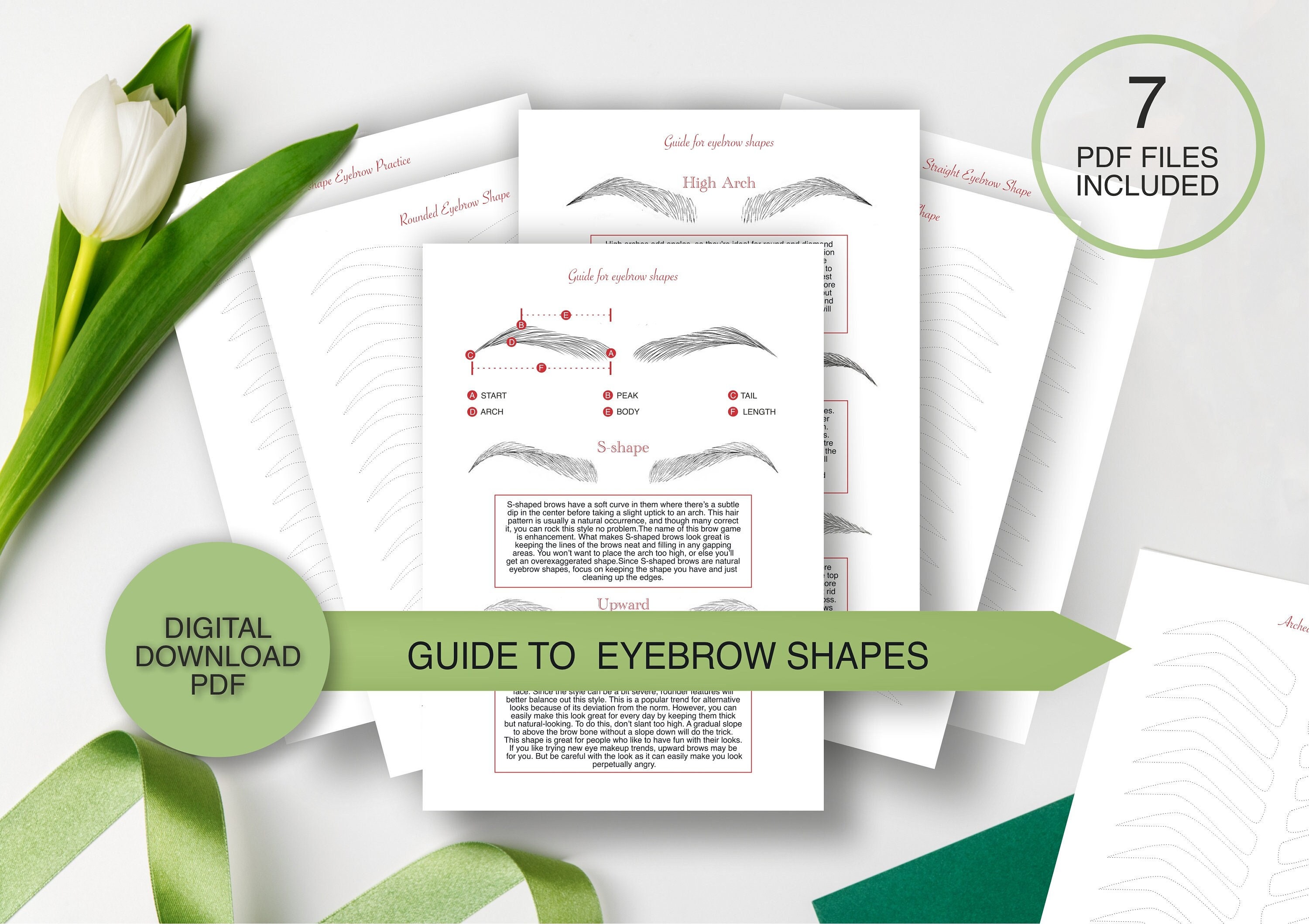 PDF 7 Theory and Practice Sheets |5 Pages of Various Brow Shapes , 2 ...