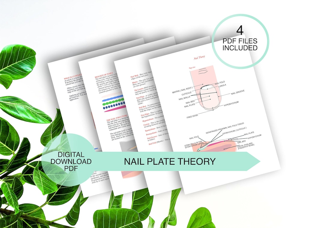 Nail Plate Theory Sheets, Fingernail Anatomy, Cuticle Removing Scheme ...