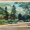 Mainzer Mice Card Party 4899 Eugen Hartung Unused Vintage Postcard ...