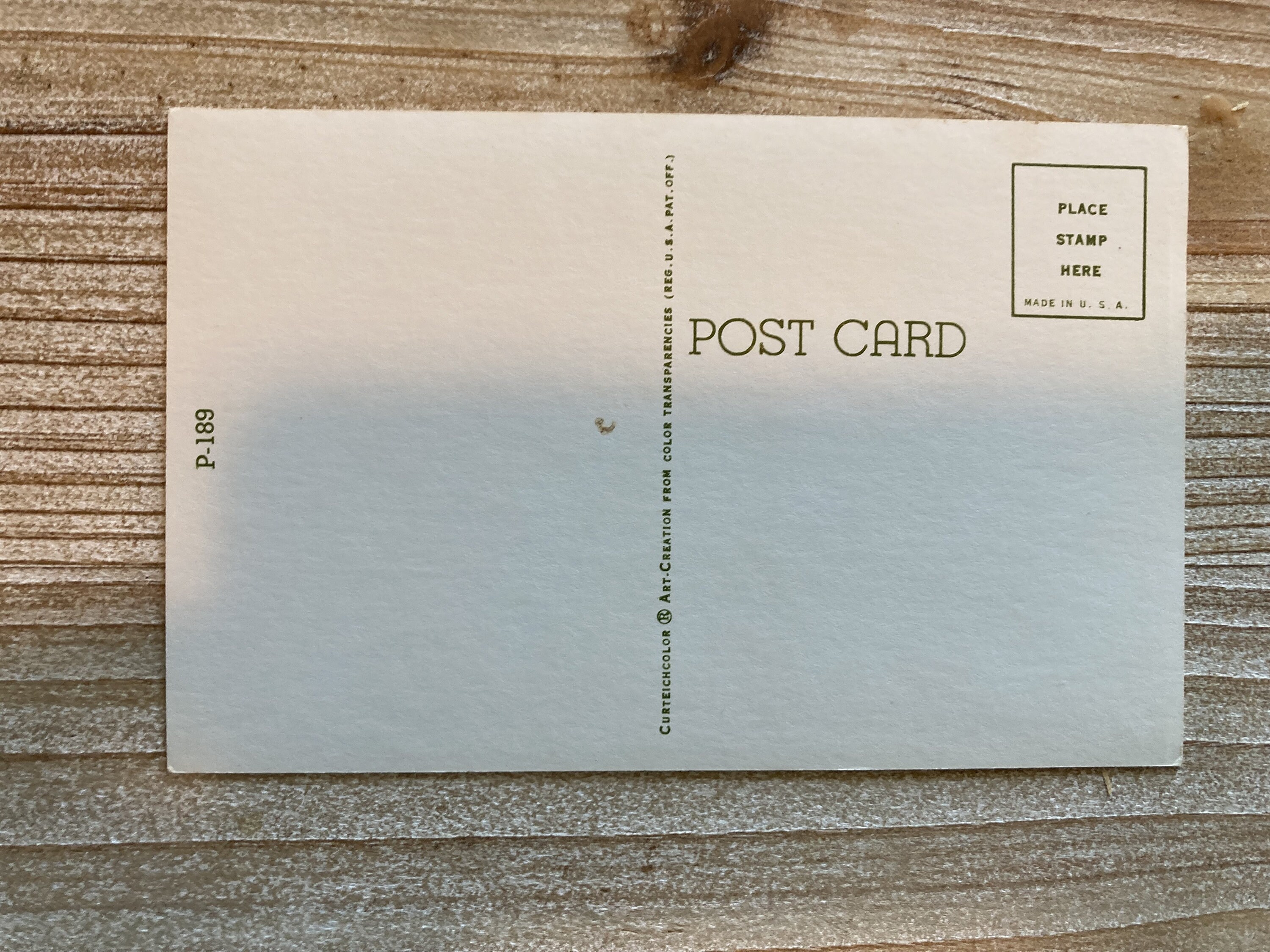 Stinkers Club Skunk Cartoon Curteich Vintage Humor Postcard - Etsy