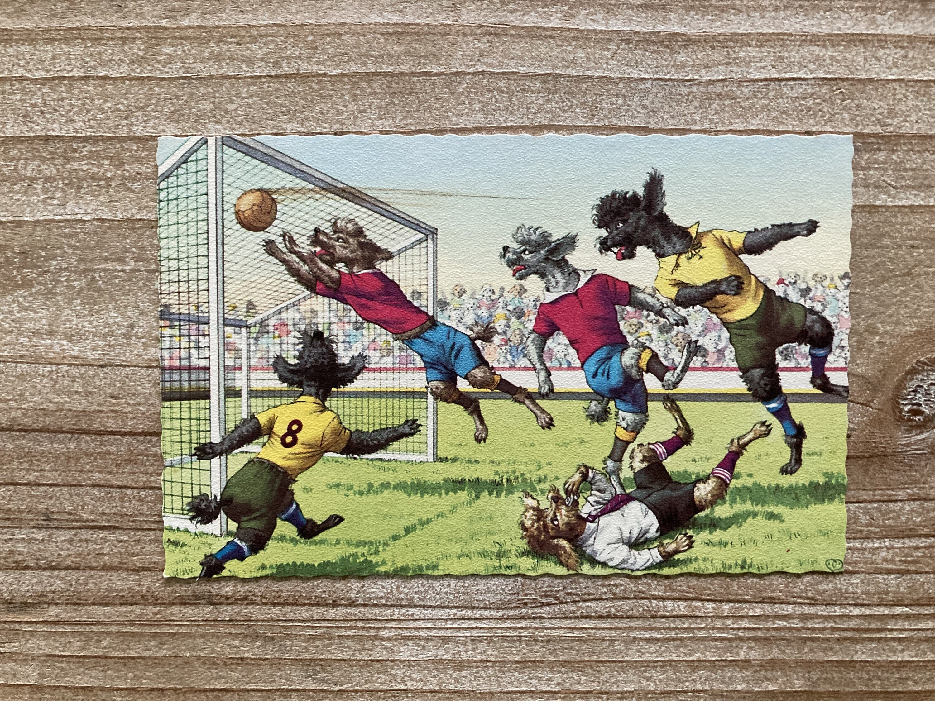 Mainzer Dogs * Poodles Playing Football * Soccer * 4998 * Alfred ...