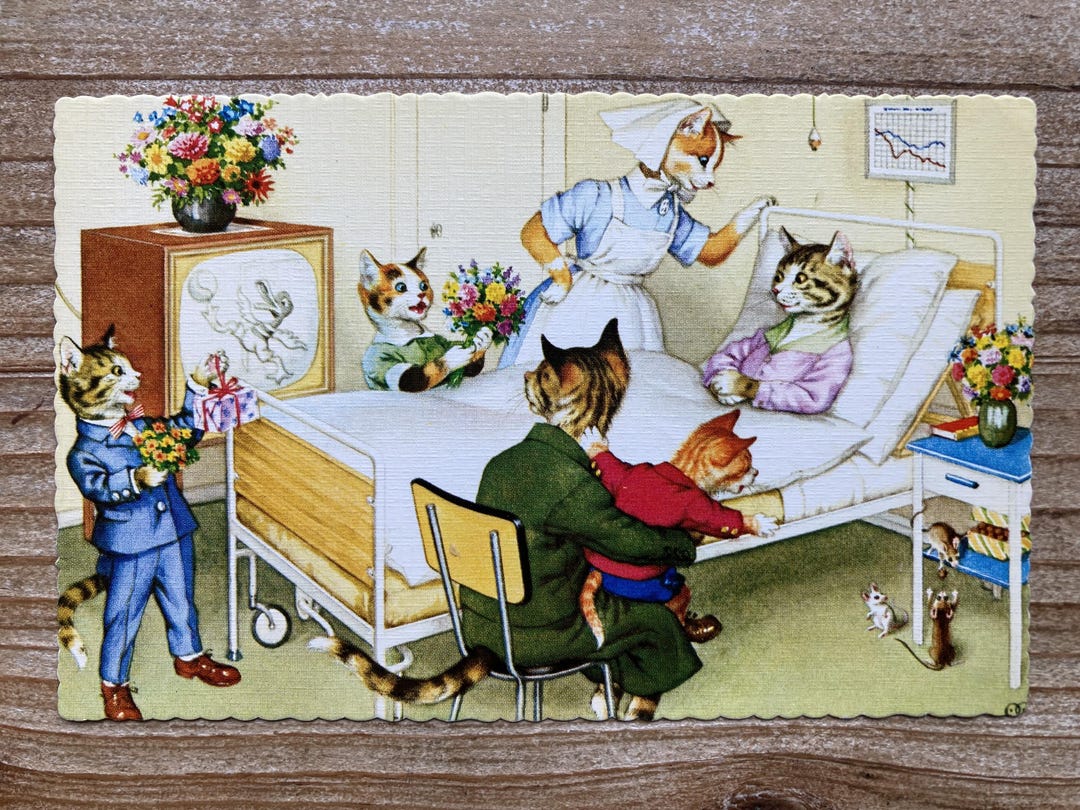 Mainzer Cats * Hospital Visit * 4931 * Alfred Mainzer * Eugen Hartung ...