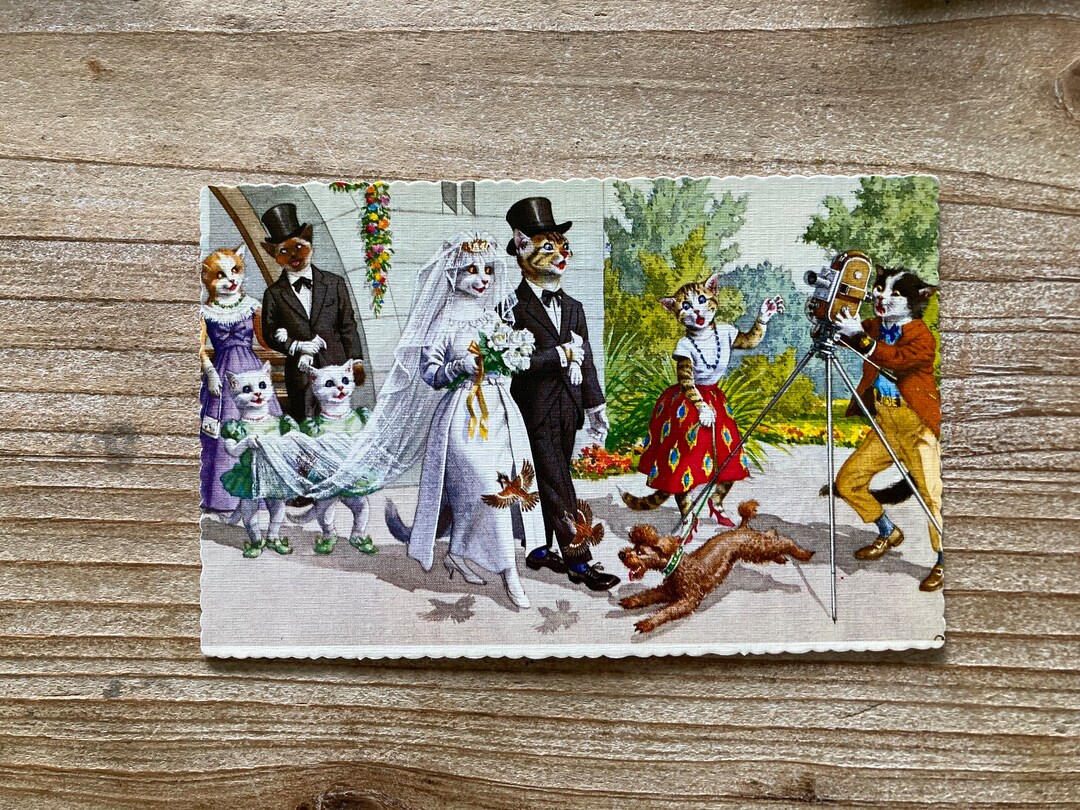 Mainzer Cats * Wedding Photographer * 4938 * Alfred Mainzer * Eugen ...