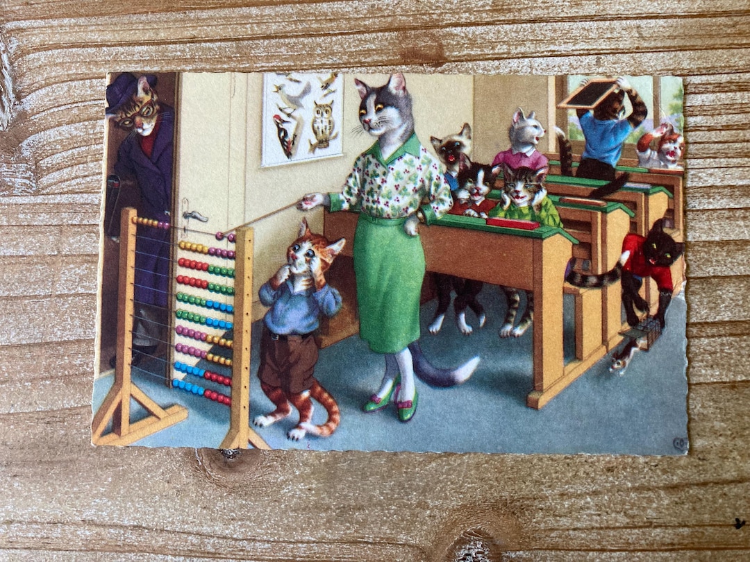 Mainzer Cats * in the Classroom * 4914 * Eugen Hartung * Belgium ...