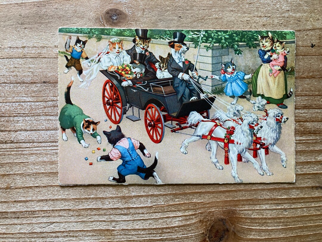Mainzer Cats, Newly Wed Carriage Ride, 4701, Alfred Mainzer, Eugen ...