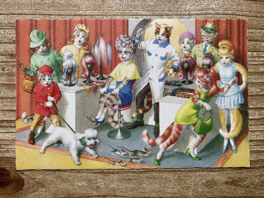 Mainzer Cats * Wig Shop * 4982 * Eugen Hartung * Unused * Belgium ...