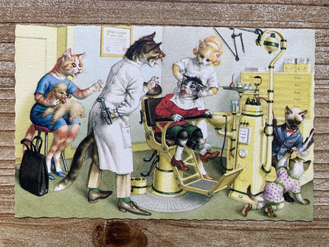 Mainzer Cats * Dentist Office * 4990 * Alfred Mainzer * Eugen Hartung ...