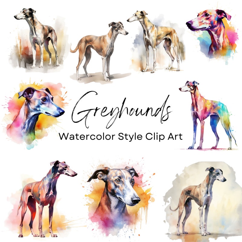 Greyhound Drawing - Etsy
