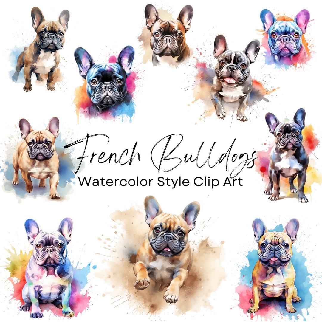 French Bulldog Clip Art Bundle - 10 Watercolor Style PNG Digital ...