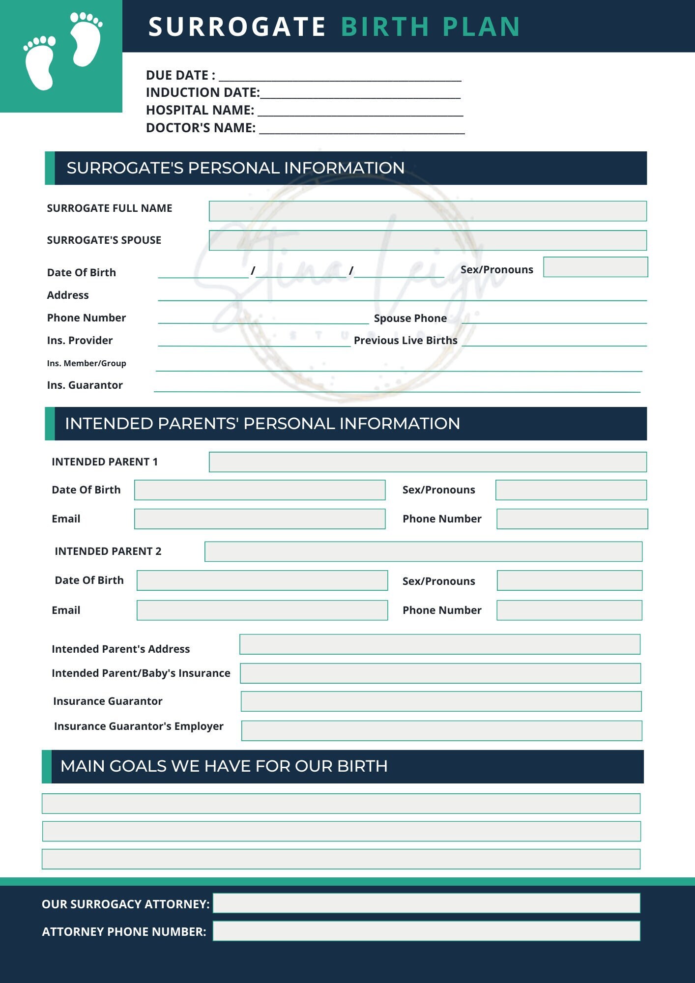 Surrogate and Intended Parent Birth Plan Template Digital Download - Etsy