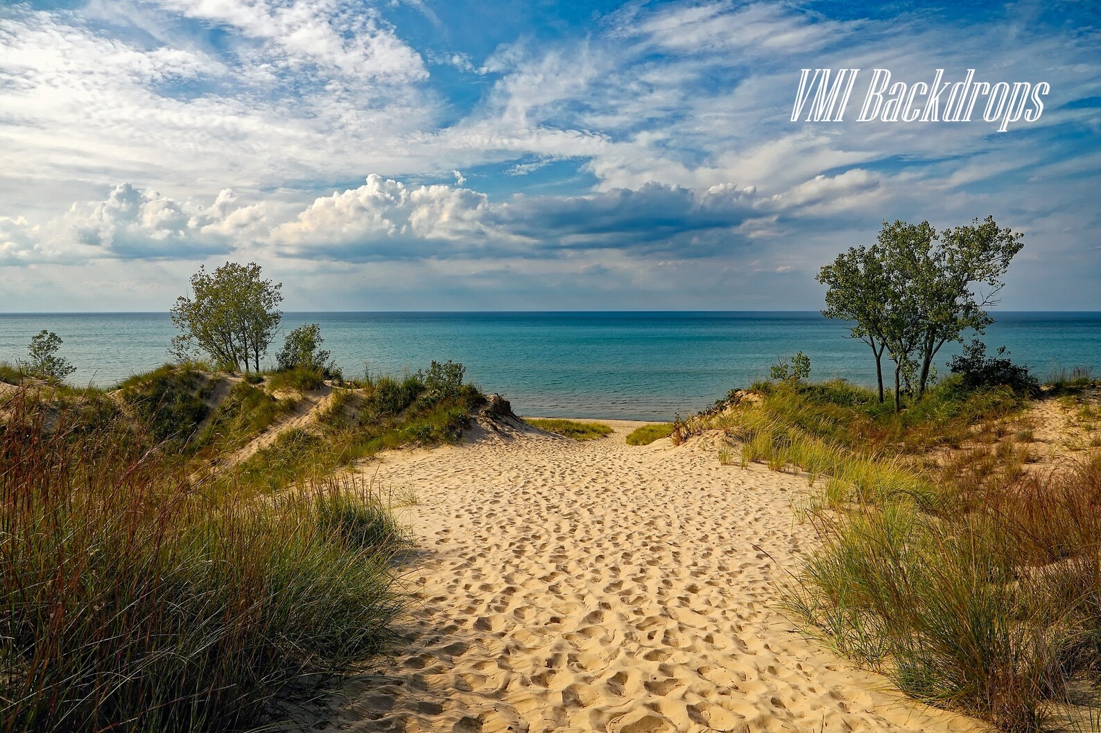 Beach Digital Backdrop, Digital Background, Summer Photography Backdrop ...