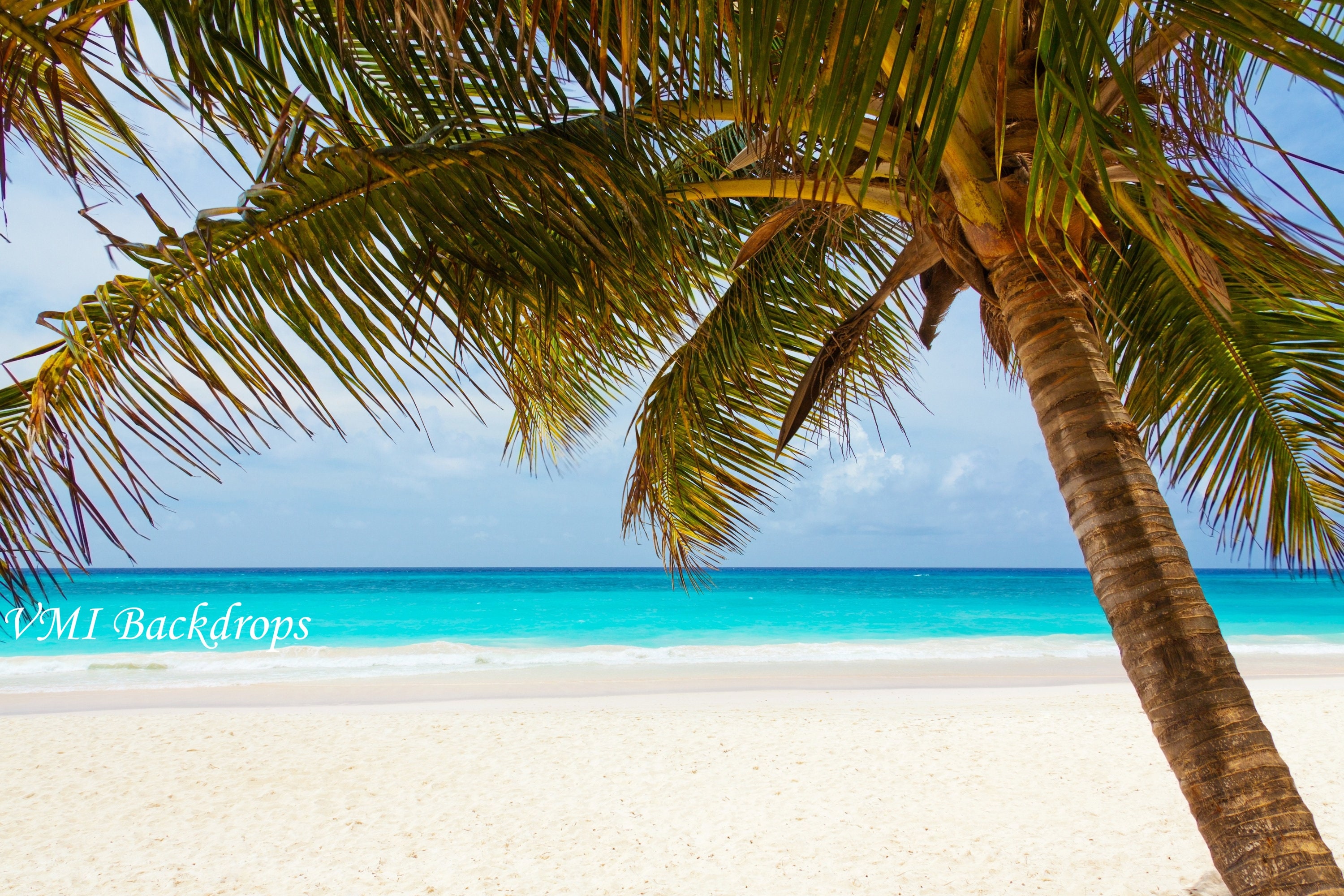 Beach Digital Background, Sea Digital Backdrop, Vacation - Etsy