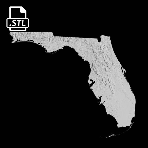 3d Map of Florida - Etsy