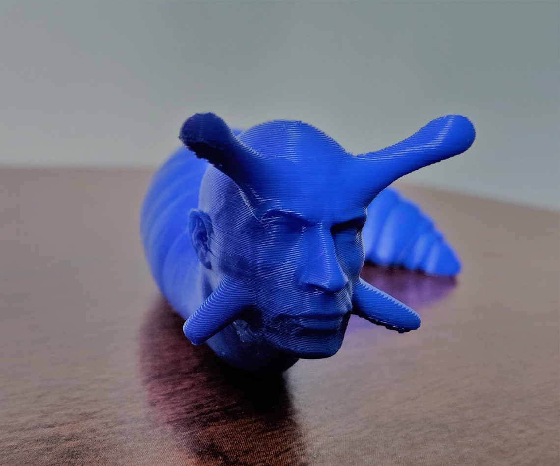 Dwayne the Rug Johnson Fidget Slug | Etsy