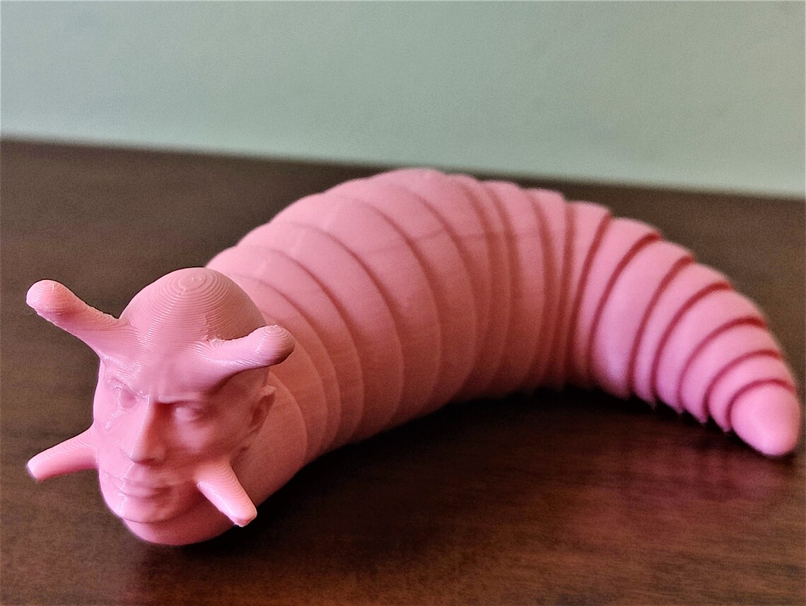 Dwayne the Rug Johnson Fidget Slug | Etsy