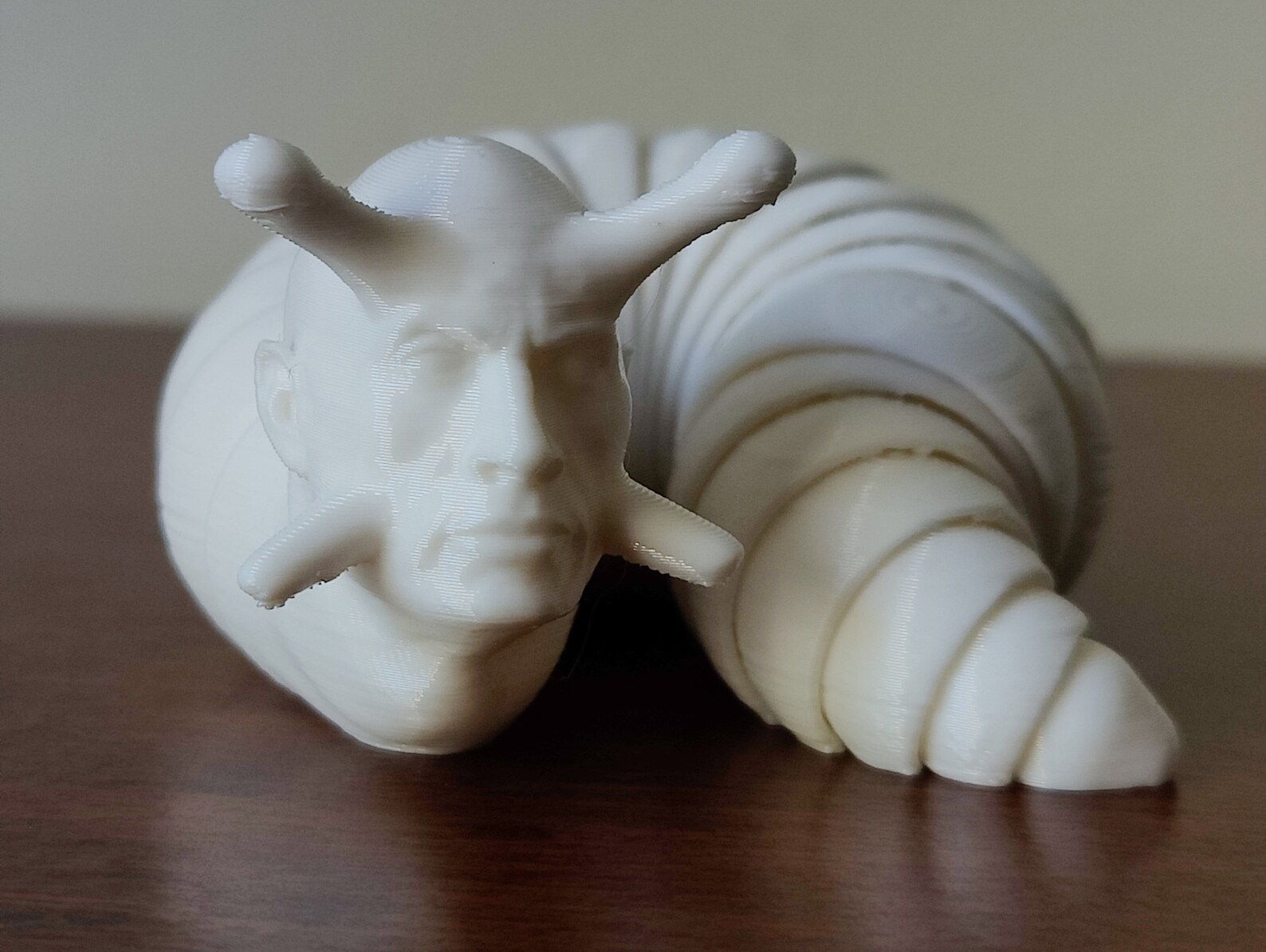 Dwayne the Rug Johnson Fidget Slug | Etsy